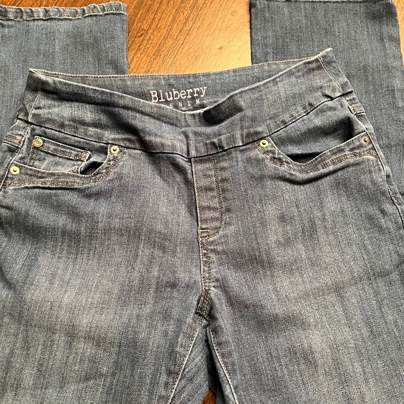 Blueberry | Jeans | Blueberry Midrise Pullon Size 2 Jeans | Poshmark